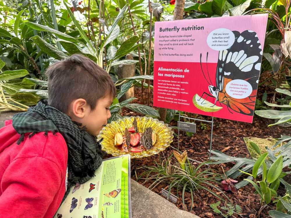 10 Tips for the Pacific Science Center in Seattle with Kids