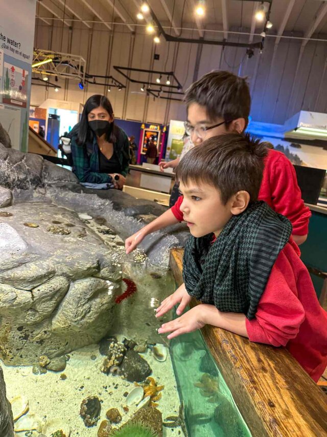 10 Tips for the Pacific Science Center in Seattle with Kids