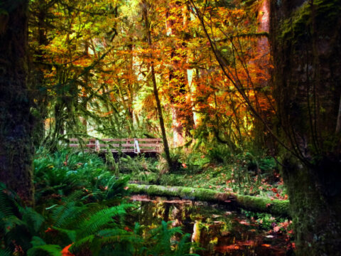 Pacific Northwest Weekend Getaways (2022)