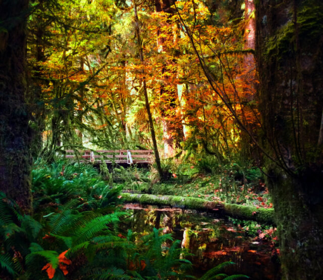 Top Pacific Northwest Weekend Getaways for a Fall Escape (2024)