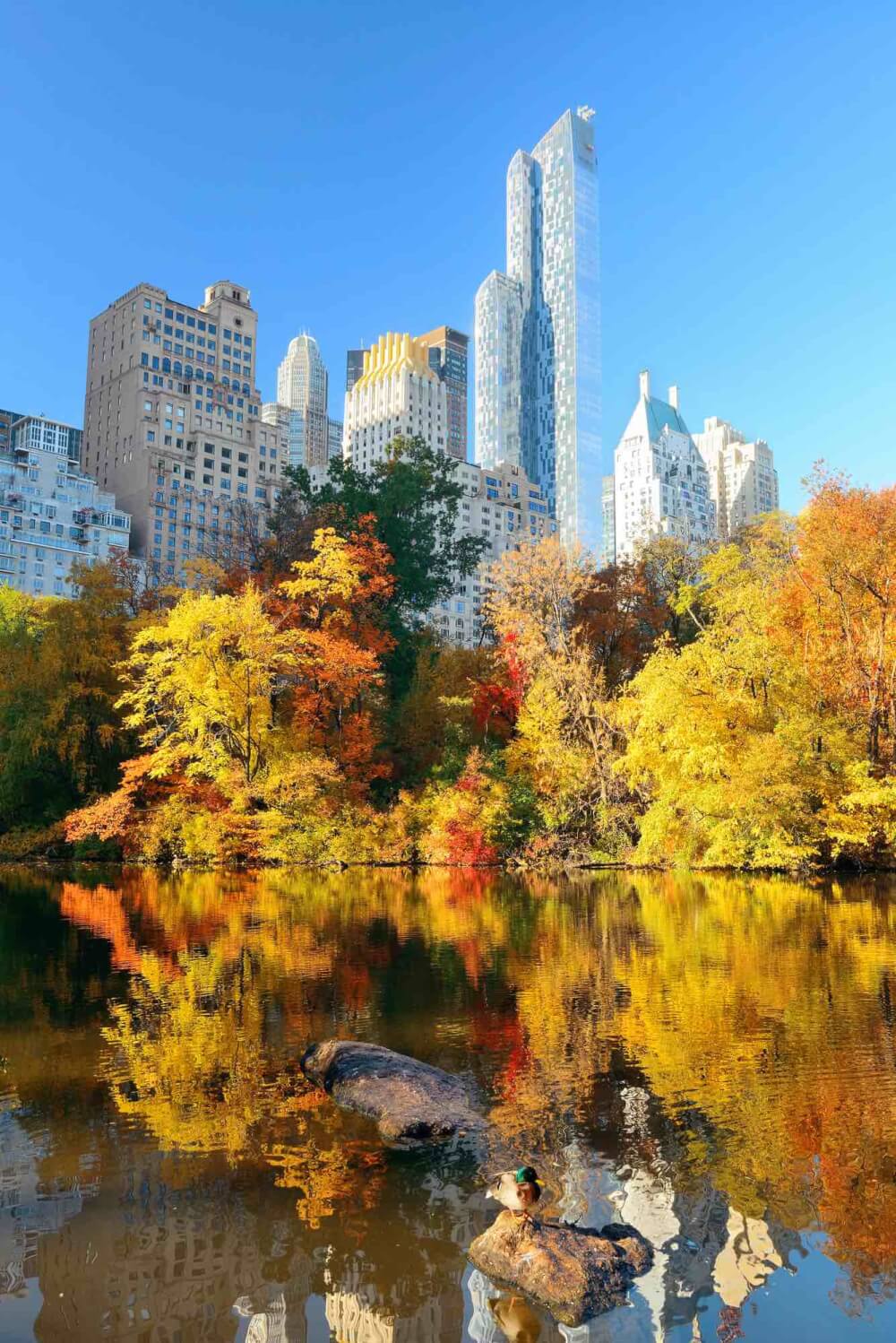 11 Must-See Best Fall Destinations in the US for Your Next Trip