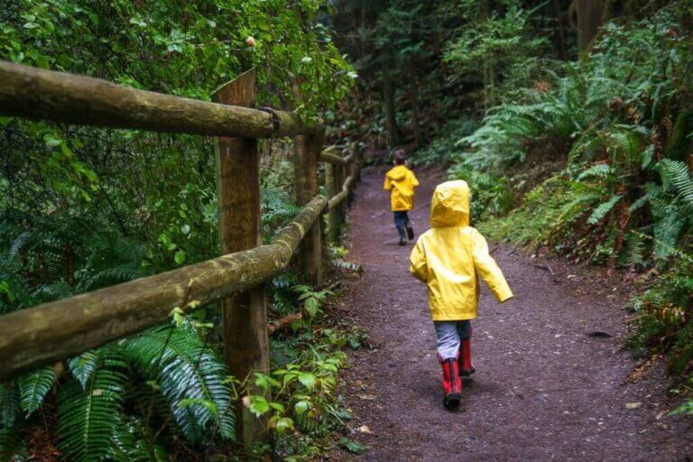 The Family Bucket List Challenge: 50 Must-Do Experiences Before the ...