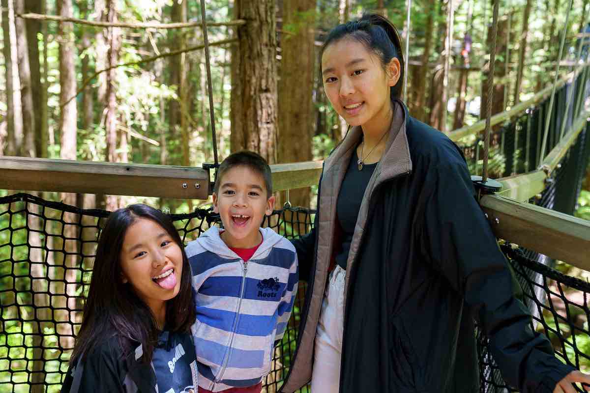 A Complete Guide to the Redwoods Tree Walk in Rotorua, NZ