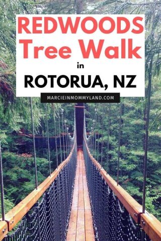 A Complete Guide to the Redwoods Tree Walk in Rotorua, NZ