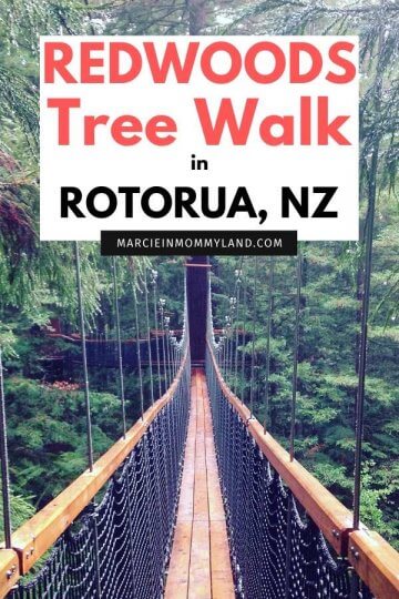 A Complete Guide to the Redwoods Tree Walk in Rotorua, NZ