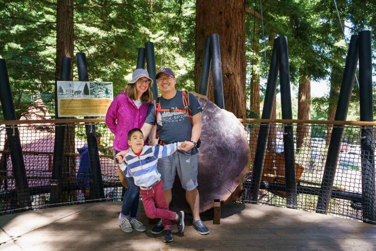 A Complete Guide to the Redwoods Tree Walk in Rotorua, NZ