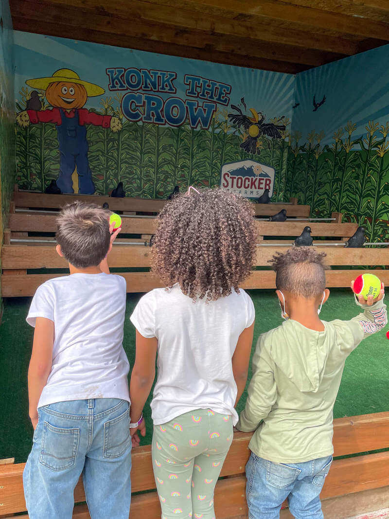 Kids will LOVE Stocker Farms Pumpkin Patch in Snohomish, WA - (2023)