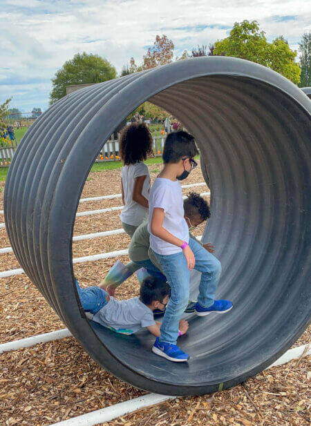 Kids will LOVE Stocker Farms Pumpkin Patch in Snohomish, WA - (2023)