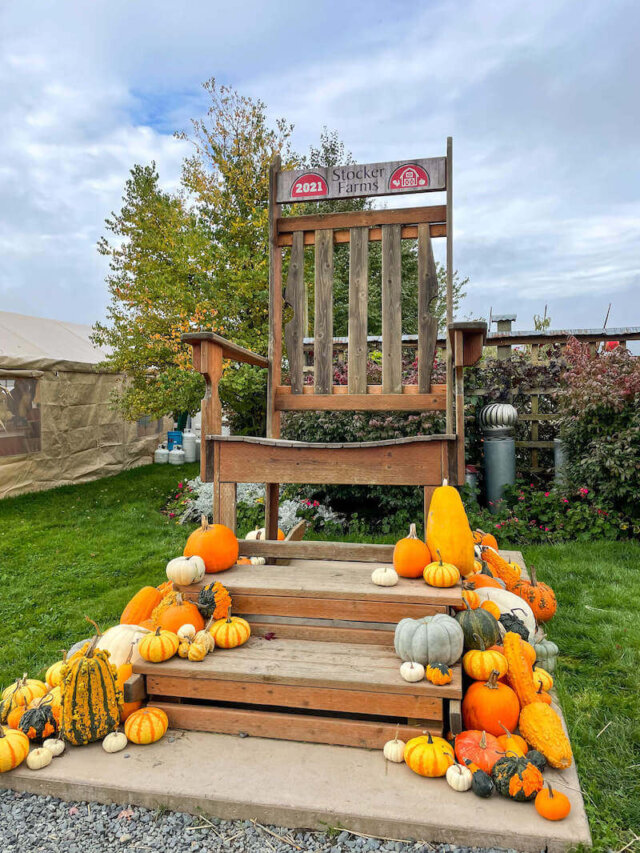 Kids will LOVE Stocker Farms Pumpkin Patch in Snohomish, WA - (2023)