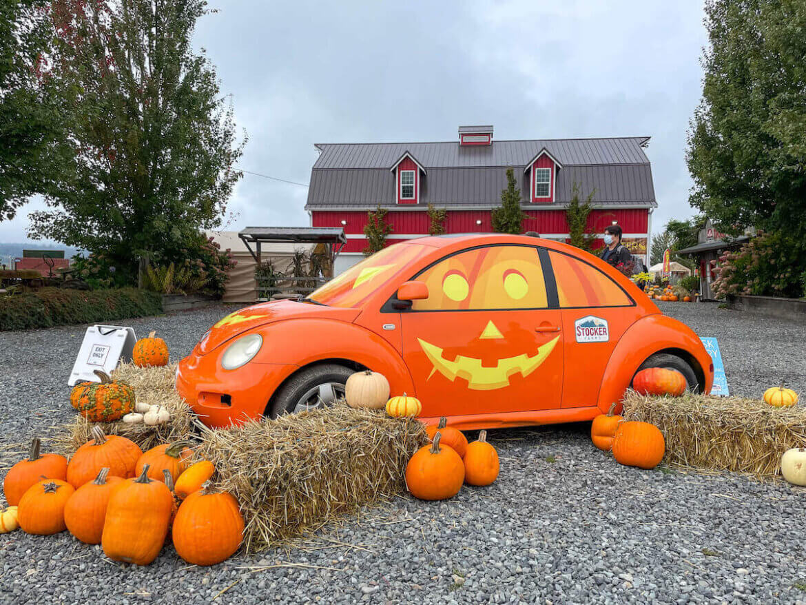 Kids will LOVE Stocker Farms Pumpkin Patch in Snohomish, WA - (2023)