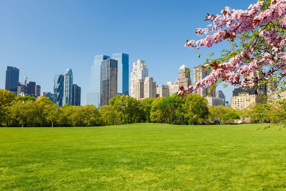 9 Best US Cities to Visit in April for a Beautiful Spring Vacation