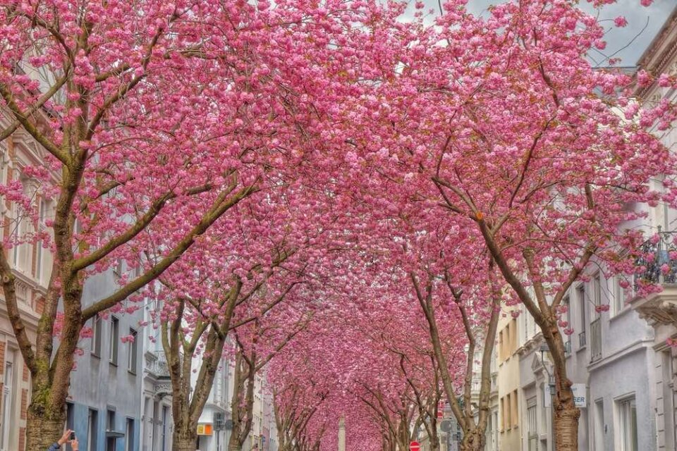 Europe in Spring: 9 Best Cities Worth Visiting in 2024