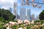 9 Best US Cities to Visit in April for a Beautiful Spring Vacation