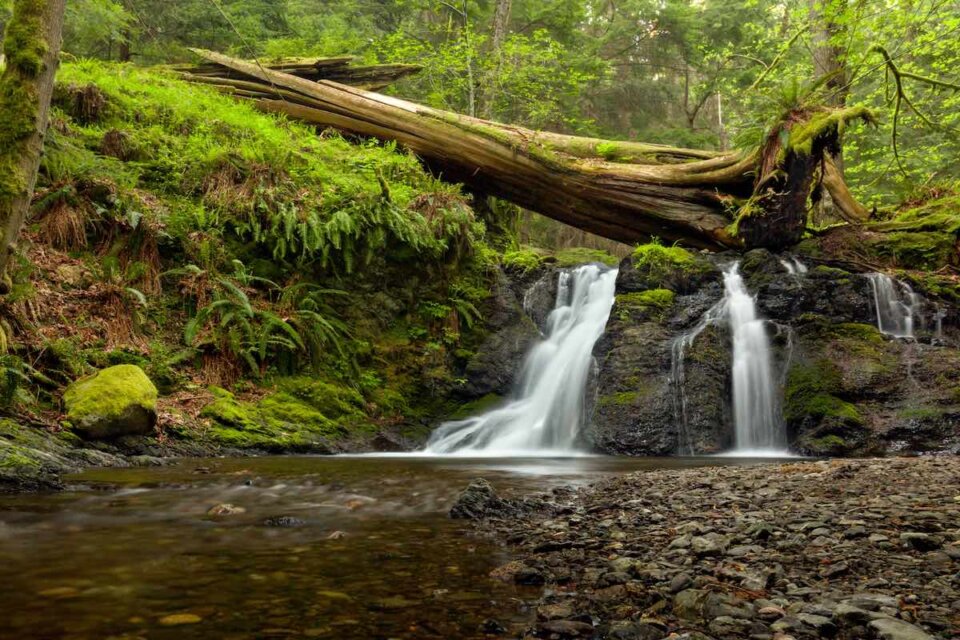 13 Best Places to Visit on the Washington Coast You Can’t Miss