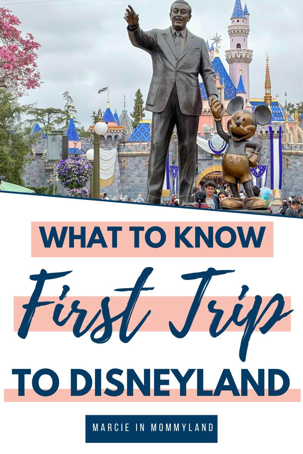 17 Things to Know Before Your First Trip to Disneyland (2023)