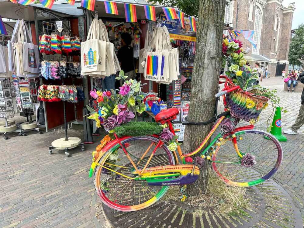 15 Amazing Amsterdam Travel Tips for First Timers (2023)