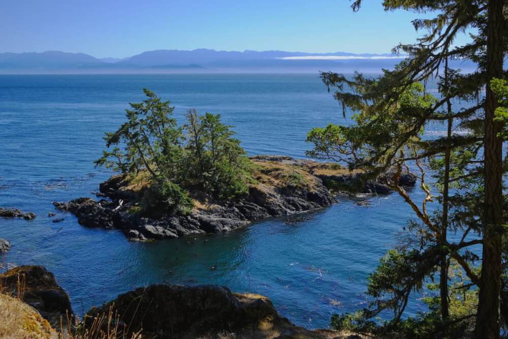 Discover the 11 Most Scenic Ferry Rides in the USA (2023)