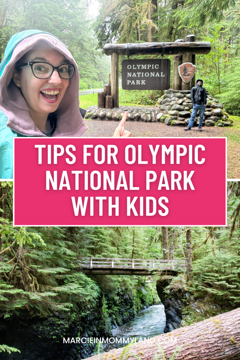Planning Your First Family Visit to Olympic National Park? Read This First!