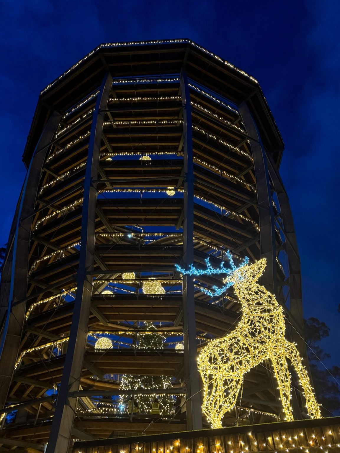 Your Perfect 9-Day Ireland Winter Itinerary (Christmas Markets, Cozy ...
