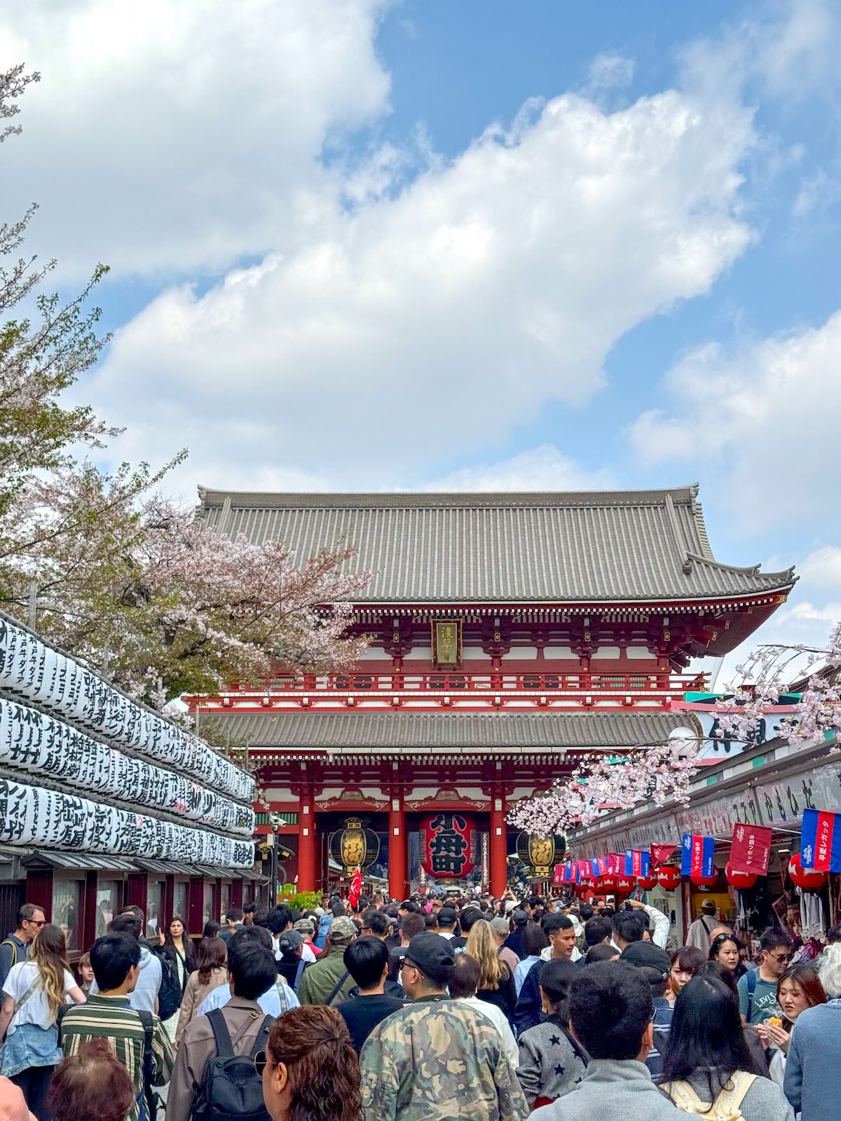 How to Plan a Trip to Tokyo: Step-by-Step Guide
